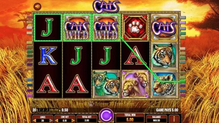 Cats Slot Machine Online: Free Demo & Review